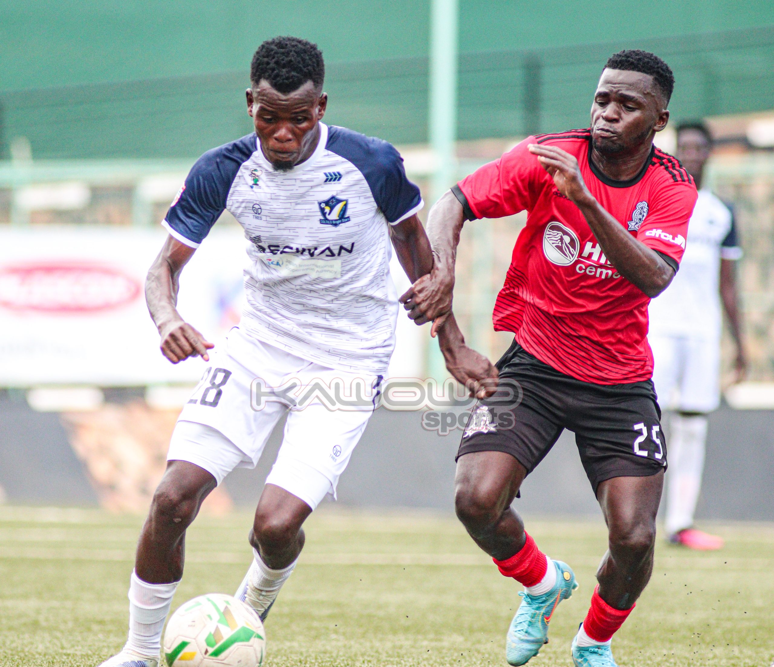 Vipers out to reclaim top spot at Bright Stars