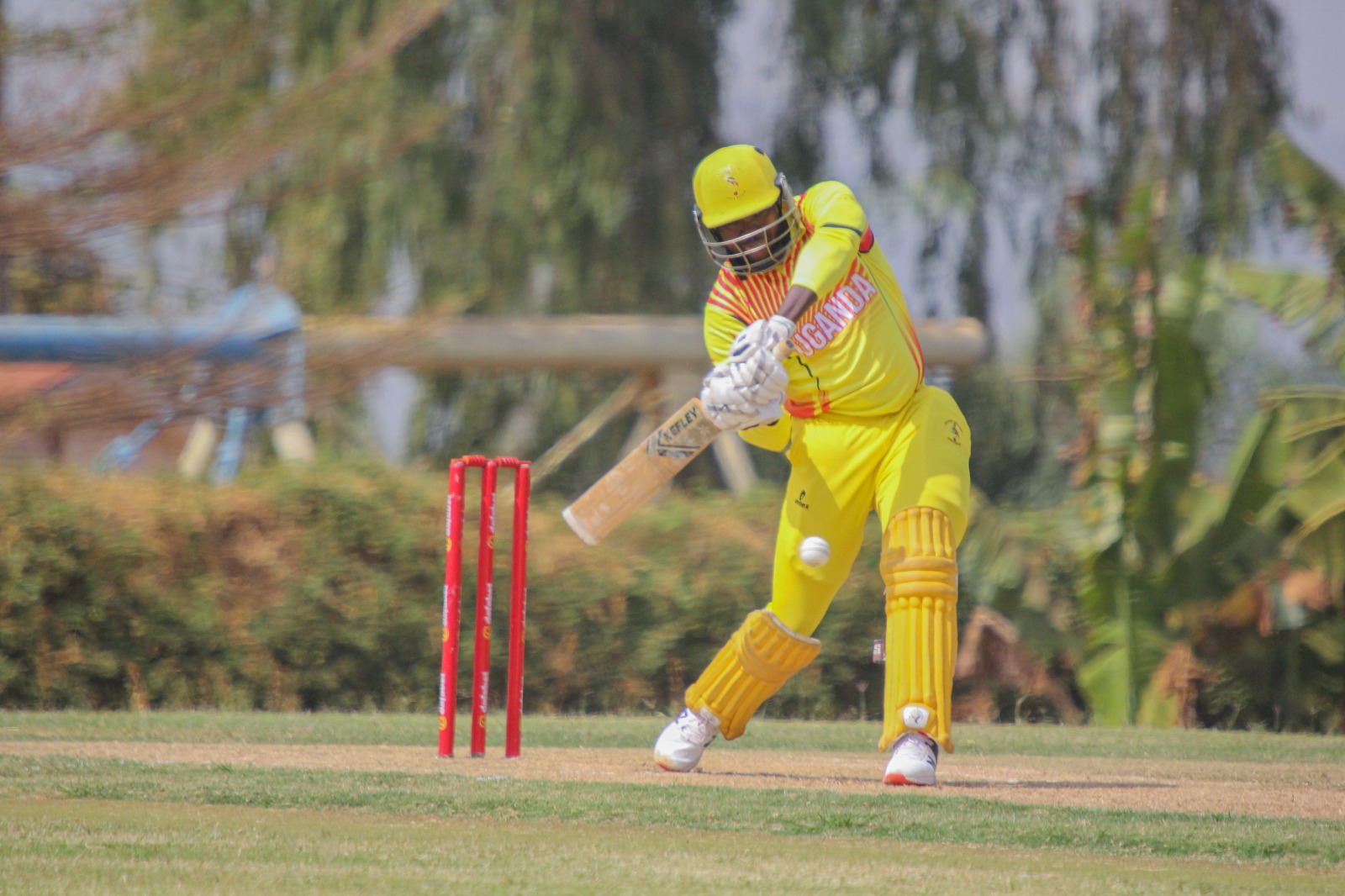 Cricket Cranes to start World Cup quest against Tanzania in Namibia