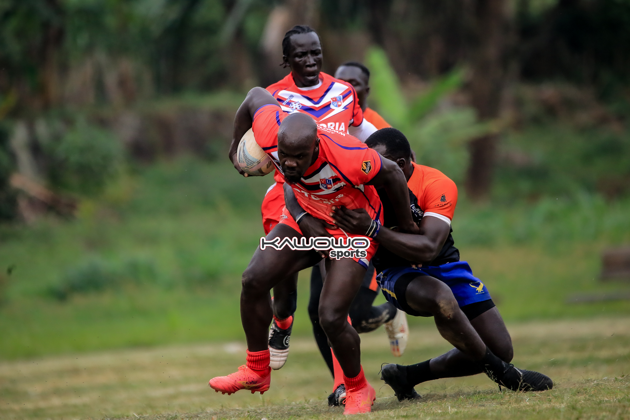 Victoria Sharks make winning start to top-flight Ugandan rugby