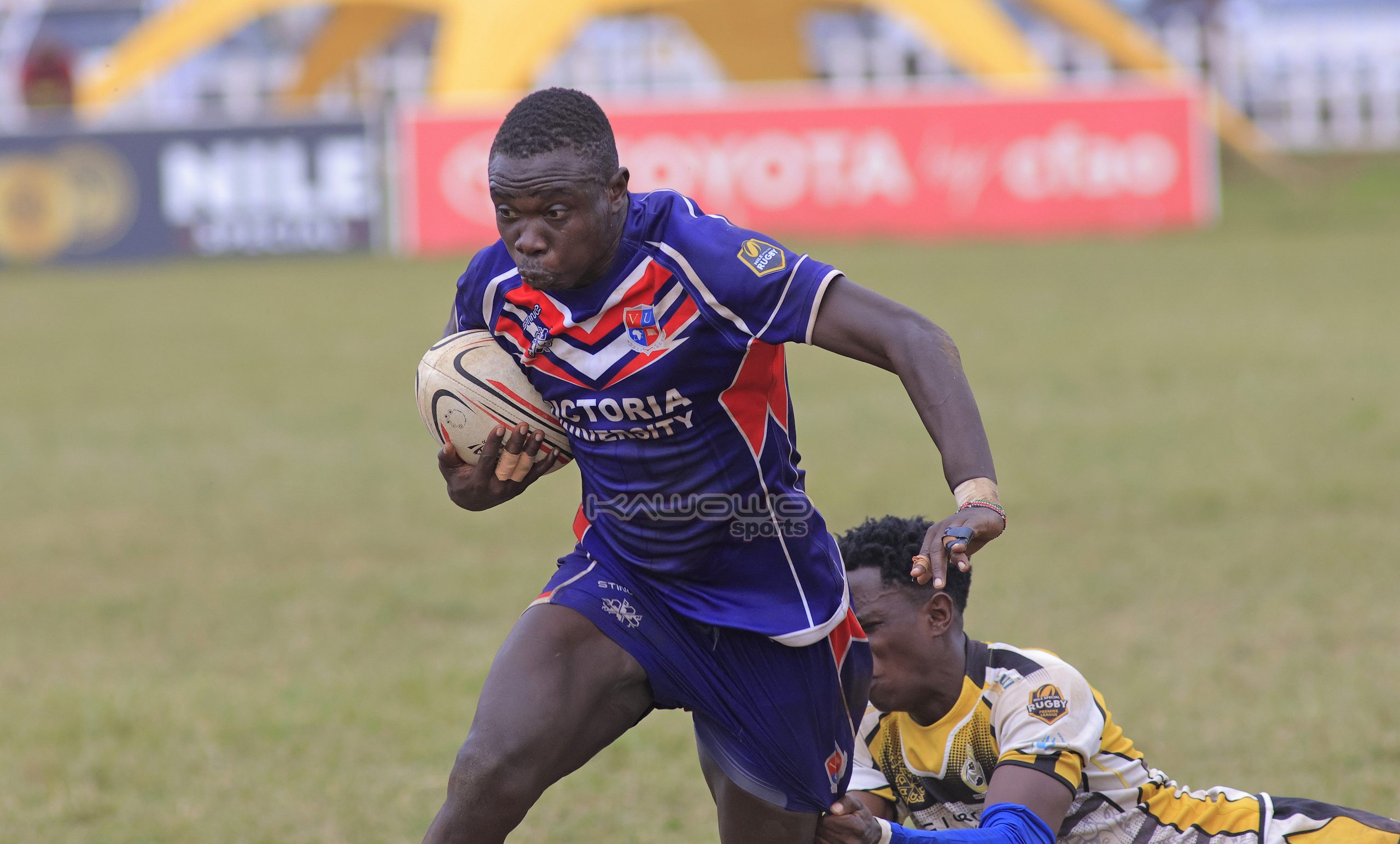 Will Victoria Sharks pass the chemistry test against Heathens?