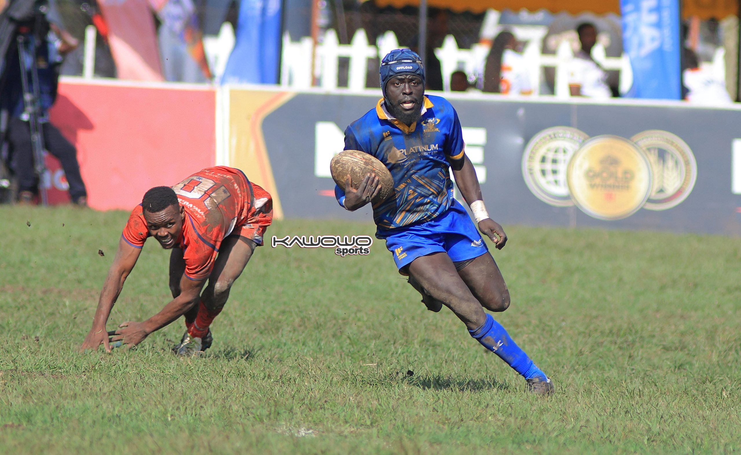 Heathens back on course after demolishing Victoria Sharks
